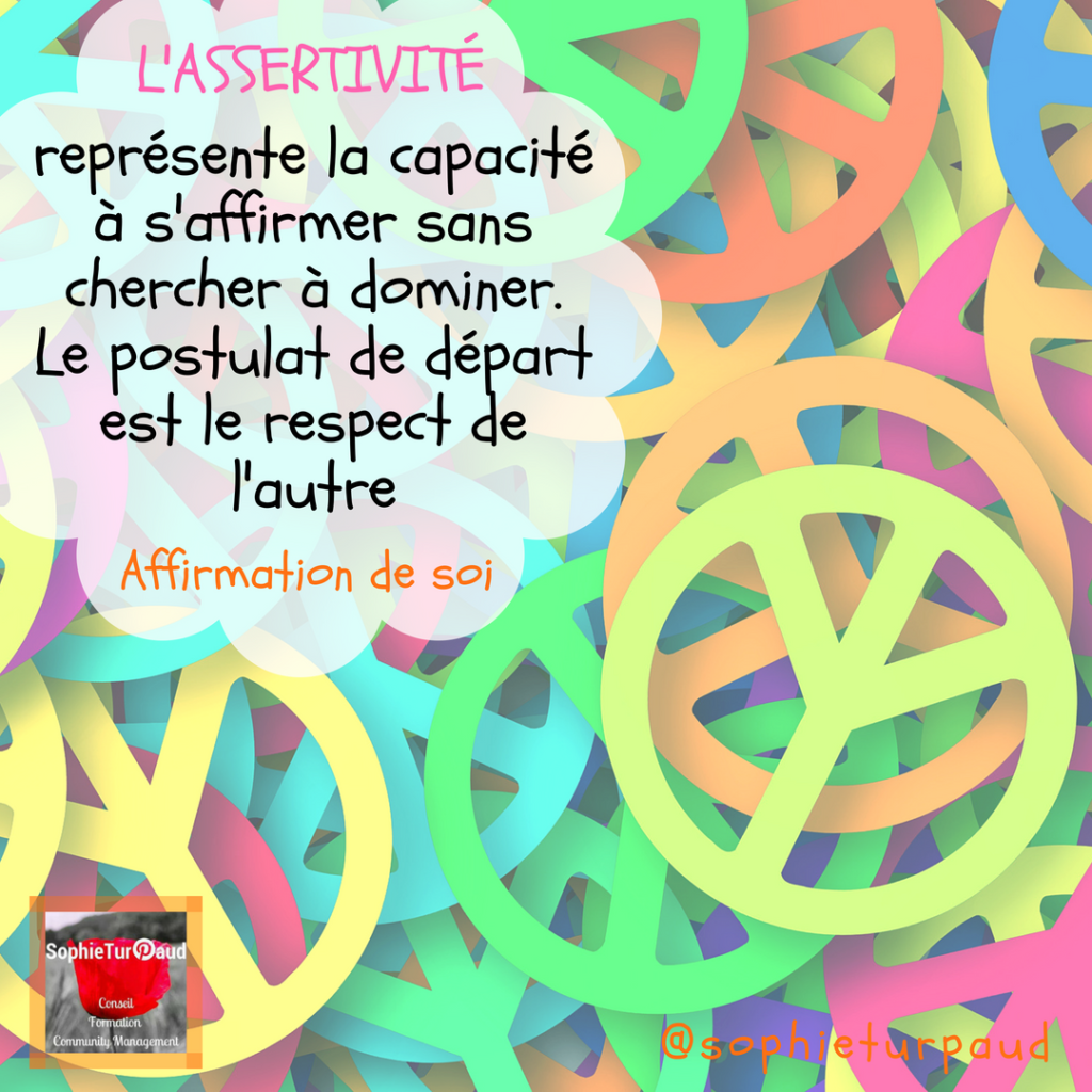Comment développer son assertivité pour s'affirmer ? - Agence SophieTurpaud