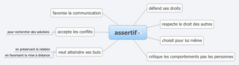 Comment développer son assertivité pour s'affirmer ? - Agence SophieTurpaud