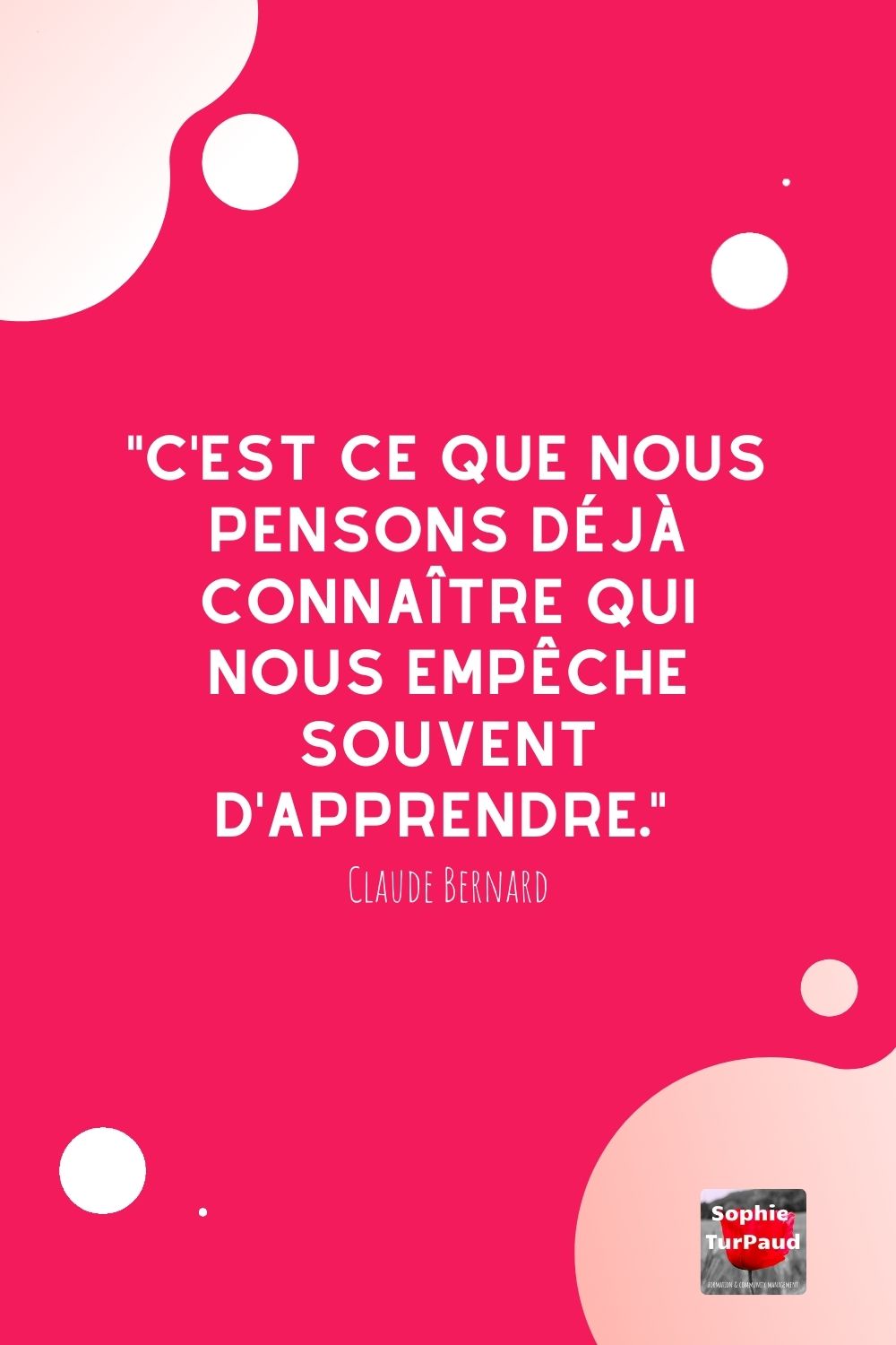 24 citations inspirantes sur l'apprentissage - Agence SophieTurpaud