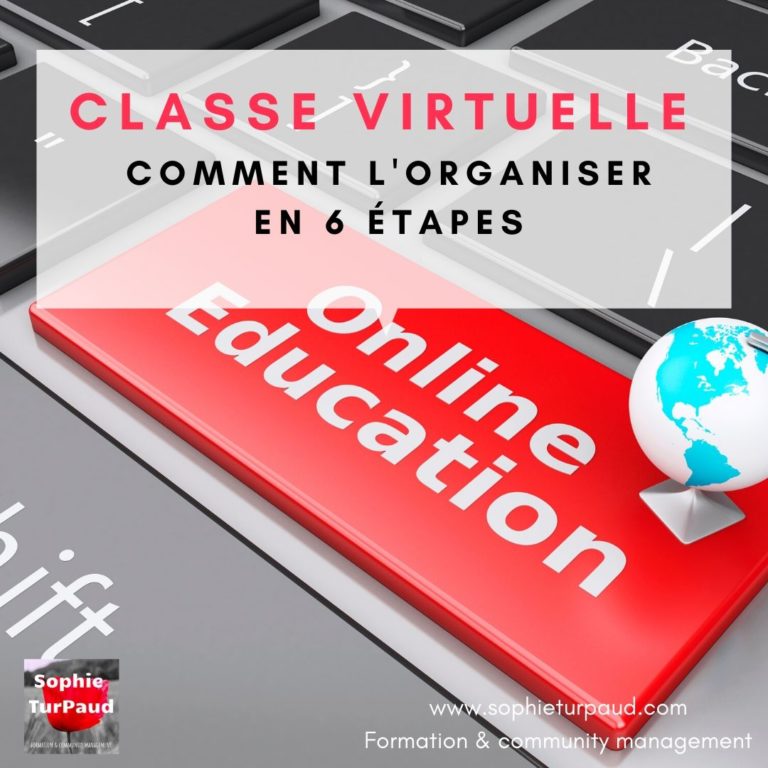 Comment organiser votre classe virtuelle en 6 étapes ? - Agence SophieTurpaud