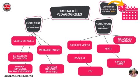 Infographie les modalités pédagogiques - Agence SophieTurpaud