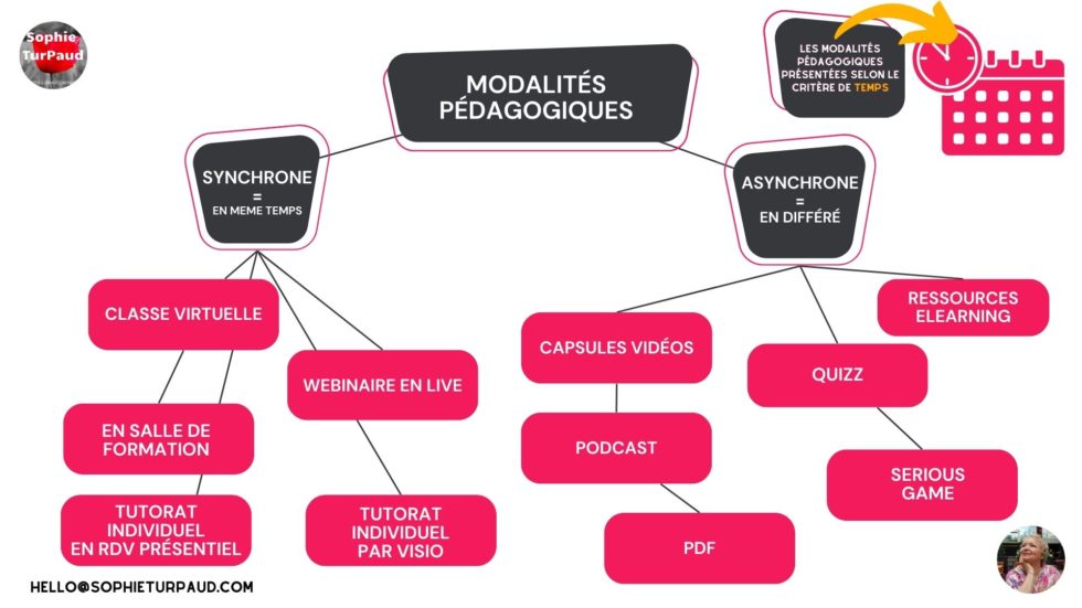 Infographie les modalités pédagogiques - Agence SophieTurpaud