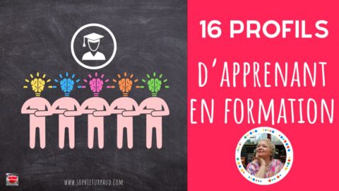 Les 16 profils d'apprenants en formation - Agence SophieTurpaud