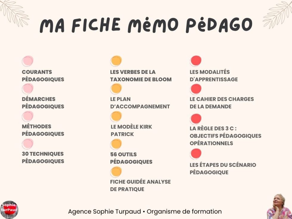 Les 6 taxonomies d'objectifs pédagogiques - Agence SophieTurpaud